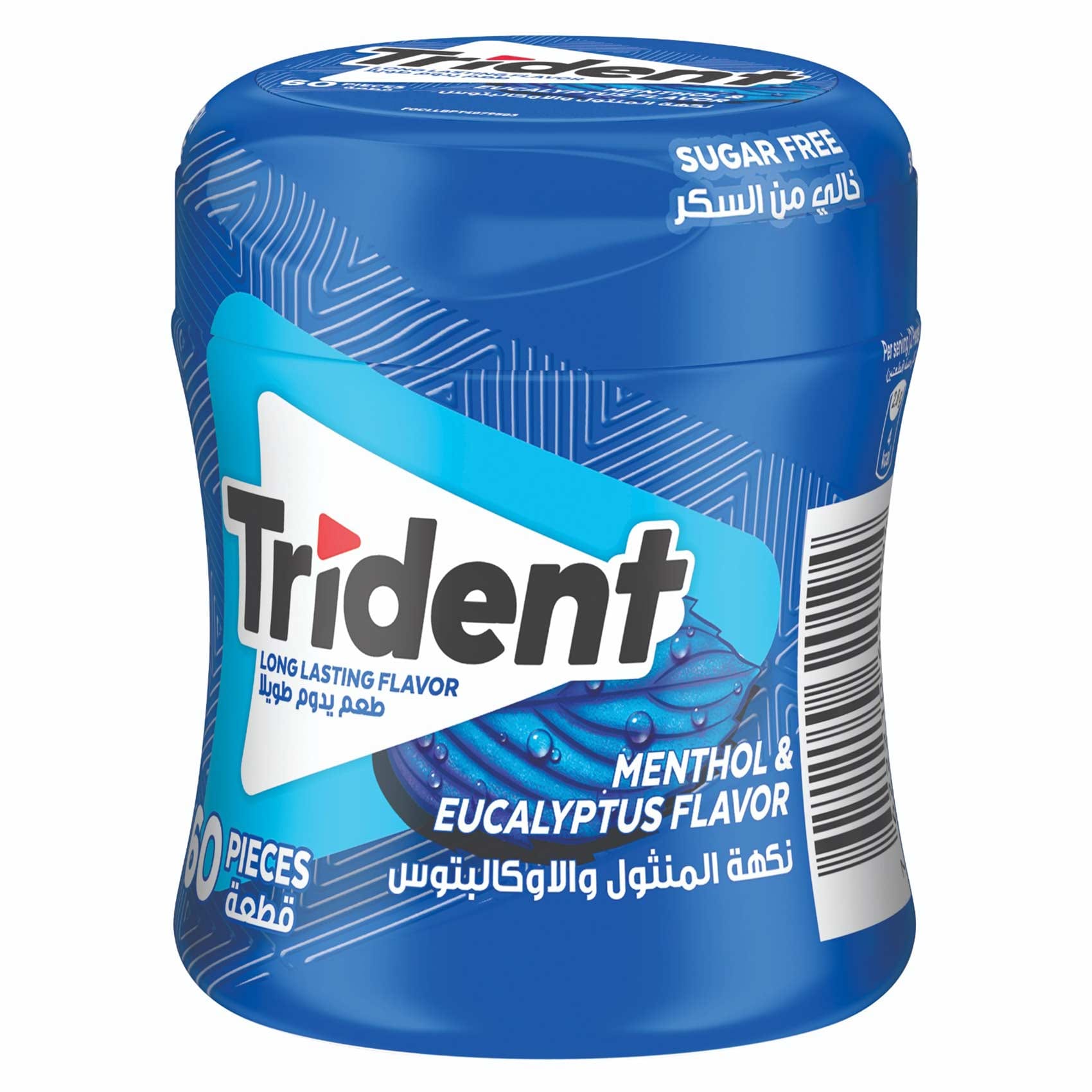 Buy Trident Mint Chewing Gum - 60 Pieces Online | Carrefour Egypt