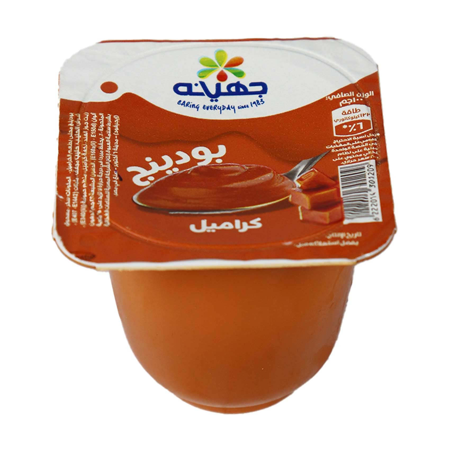 تسوق بودينج كراميل جهينه - 100 جرام أون لاين - كارفور القاهرة، الجيزة ...