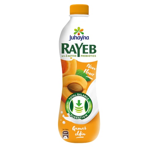 Buy Juhayna Rayeb Milk with Qamar El-Din Flavor - 220 ml Online ...