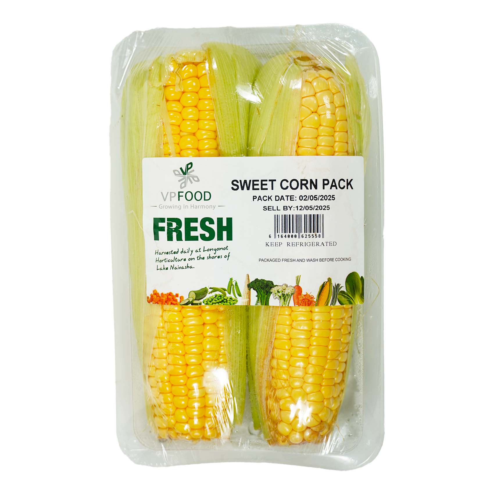 SWEET CORN