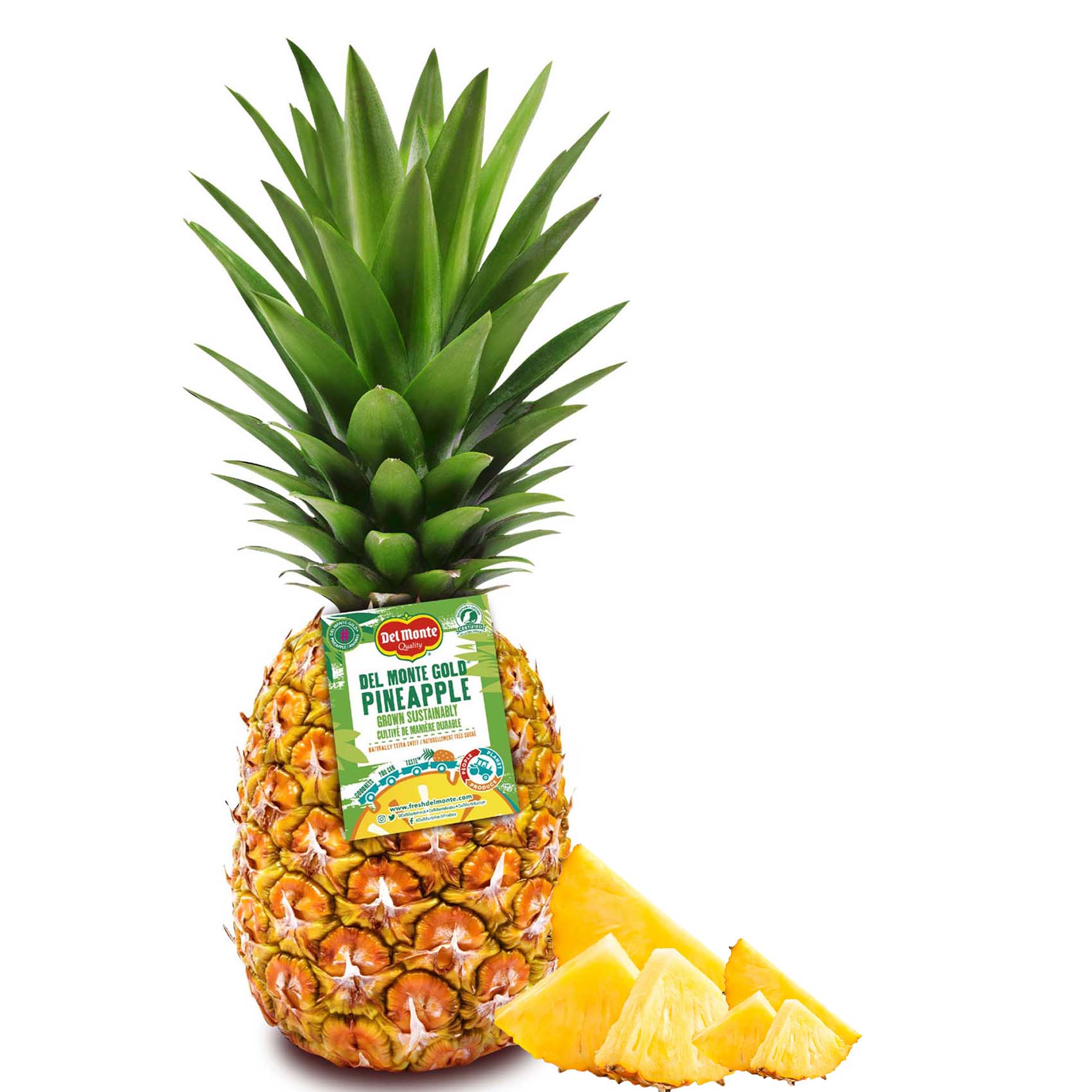 Buy Pineapple Gold 1.5kg Online | Carrefour Kenya