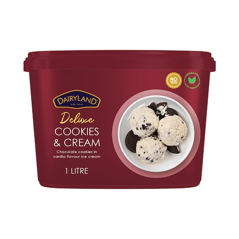 Buy Dairyland Warner Bros Chocolate Cookies And Vanilla Ice Cream 1L ...