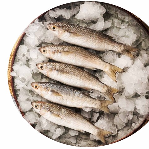 MAID FISH KG price in Kuwait | Carrefour Kuwait | supermarket kanbkam