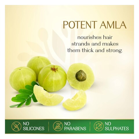 Buy Herbsindia Amla And 7 Seeds Hair Oil 280ml x Pack of 2 Online ...