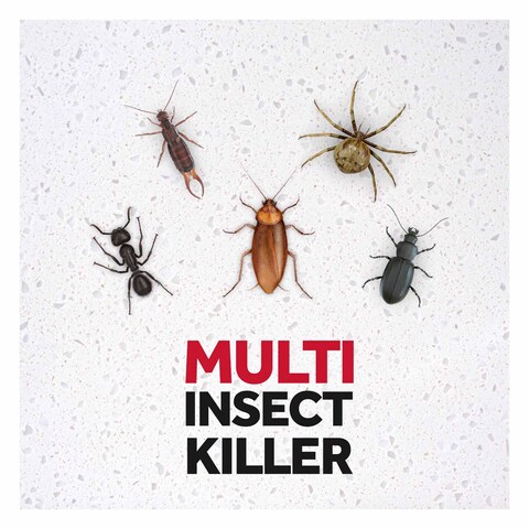 Buy Raid Odorless Spray for Multi Insect Killer, 300ml Online ...