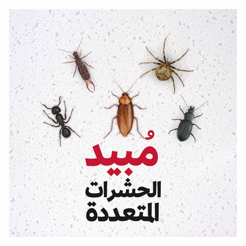 Buy Raid Odorless Spray for Multi Insect Killer, 300ml Online ...