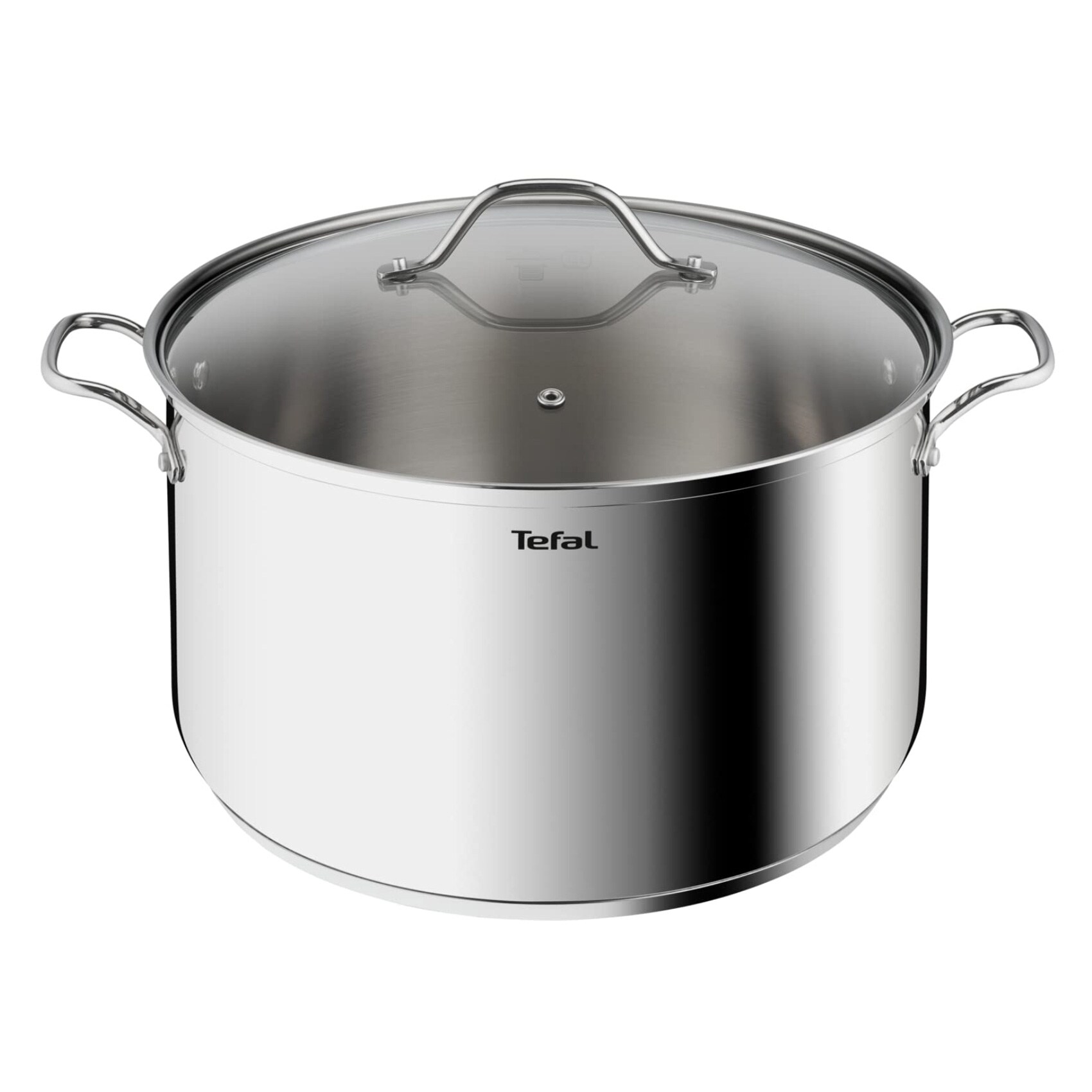 Buy Tefal Stainless Steel Induction Pot 32cm Online | Carrefour KSA