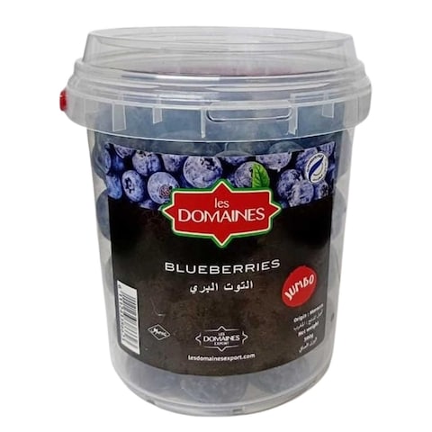 Blueberries 500g price in UAE | Carrefour UAE | supermarket kanbkam