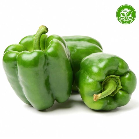 Organic Capsicum Green Prepacked price in UAE | Carrefour UAE | supermarket kanbkam