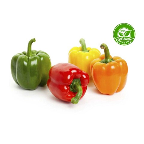 Organic Capsicum Mix Ebf 500g price in UAE | Carrefour UAE ...