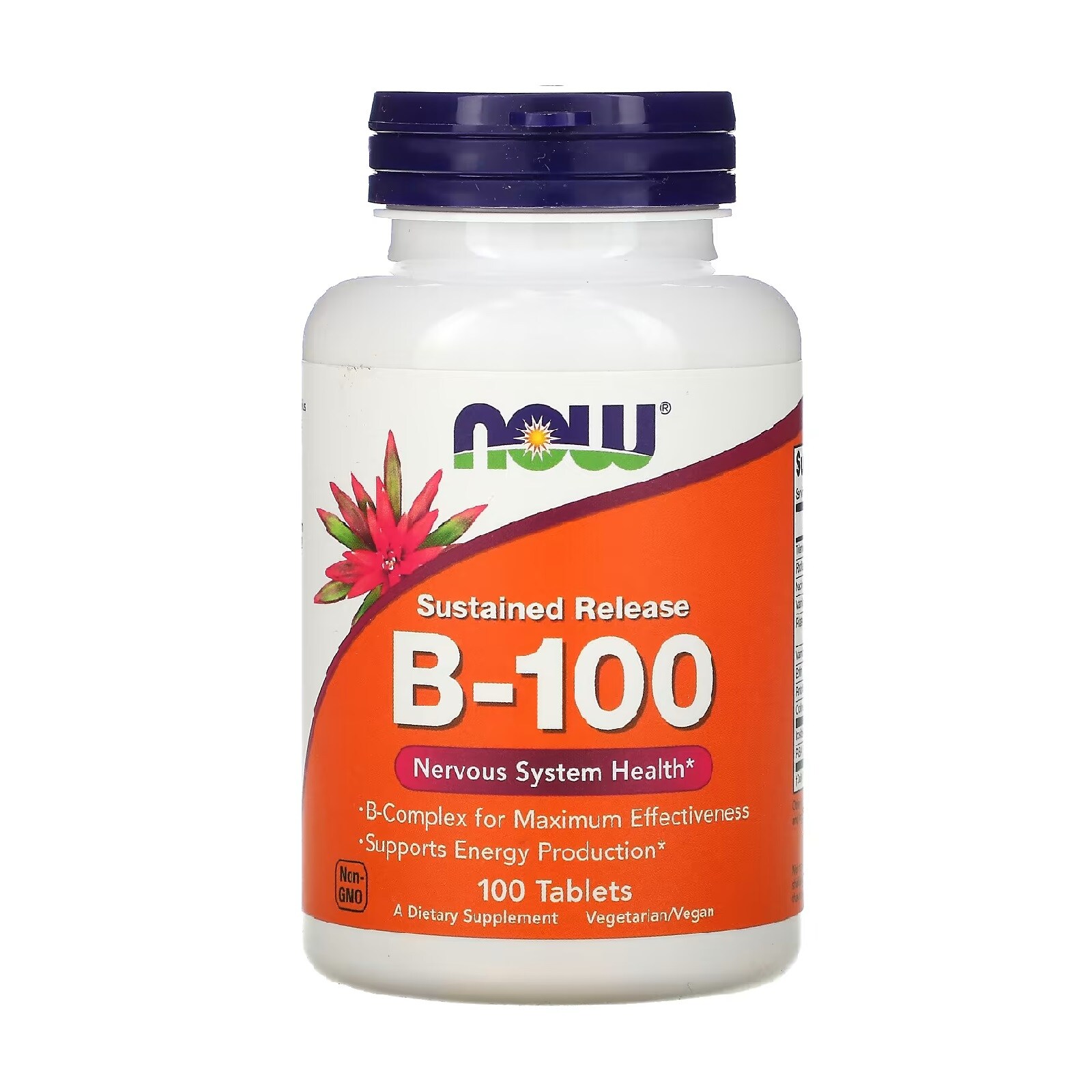 Buy Now Foods B-100 Sustained Release Nervous System Health - 100 ...