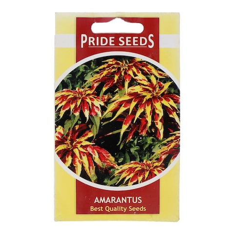 Buy Pride Seeds Amarantus Online | Carrefour Pakistan