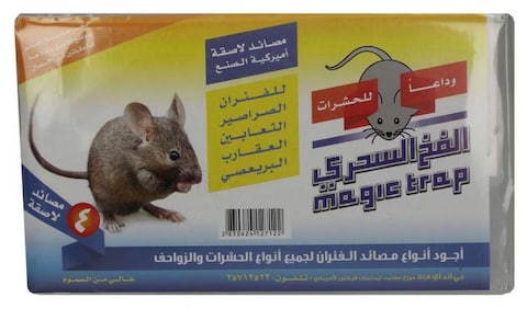 Victor Mouse Glue Trap 1 Piece price in Kuwait | Carrefour Kuwait ...