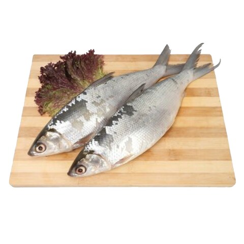 Fresh Milkfish price in UAE | Carrefour UAE | supermarket kanbkam