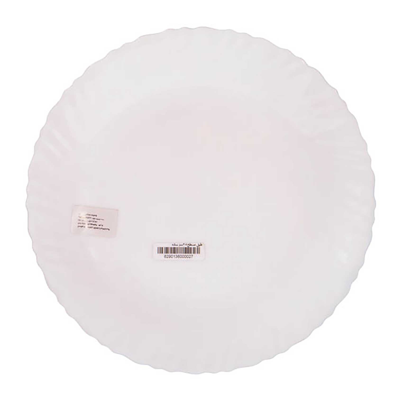 Buy Endura Dinner Plate - 25Cm Online | Carrefour Egypt