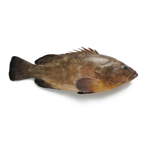 Buy Wakar Fish Online | Carrefour Egypt