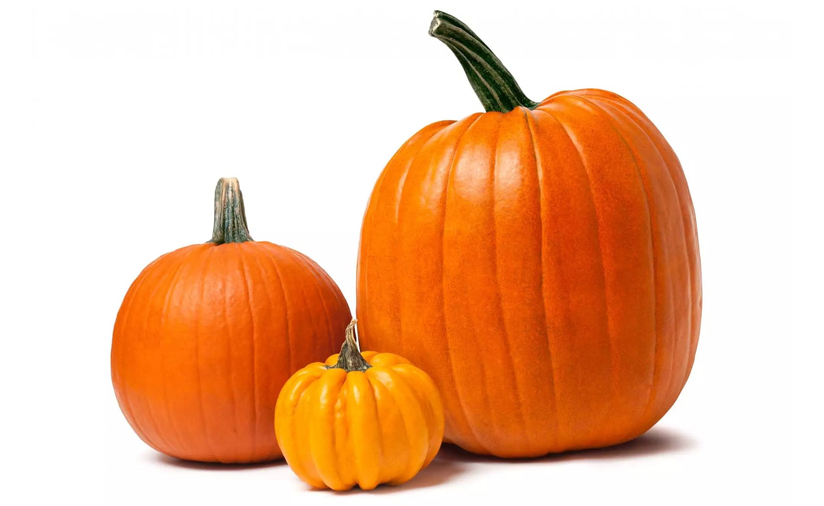 Buy Pumpkin Online | Carrefour Egypt