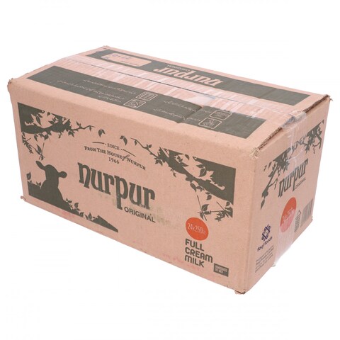 Buy Nurpur Original Full Cream Milk 250 ml (Pack of 24) Online ...