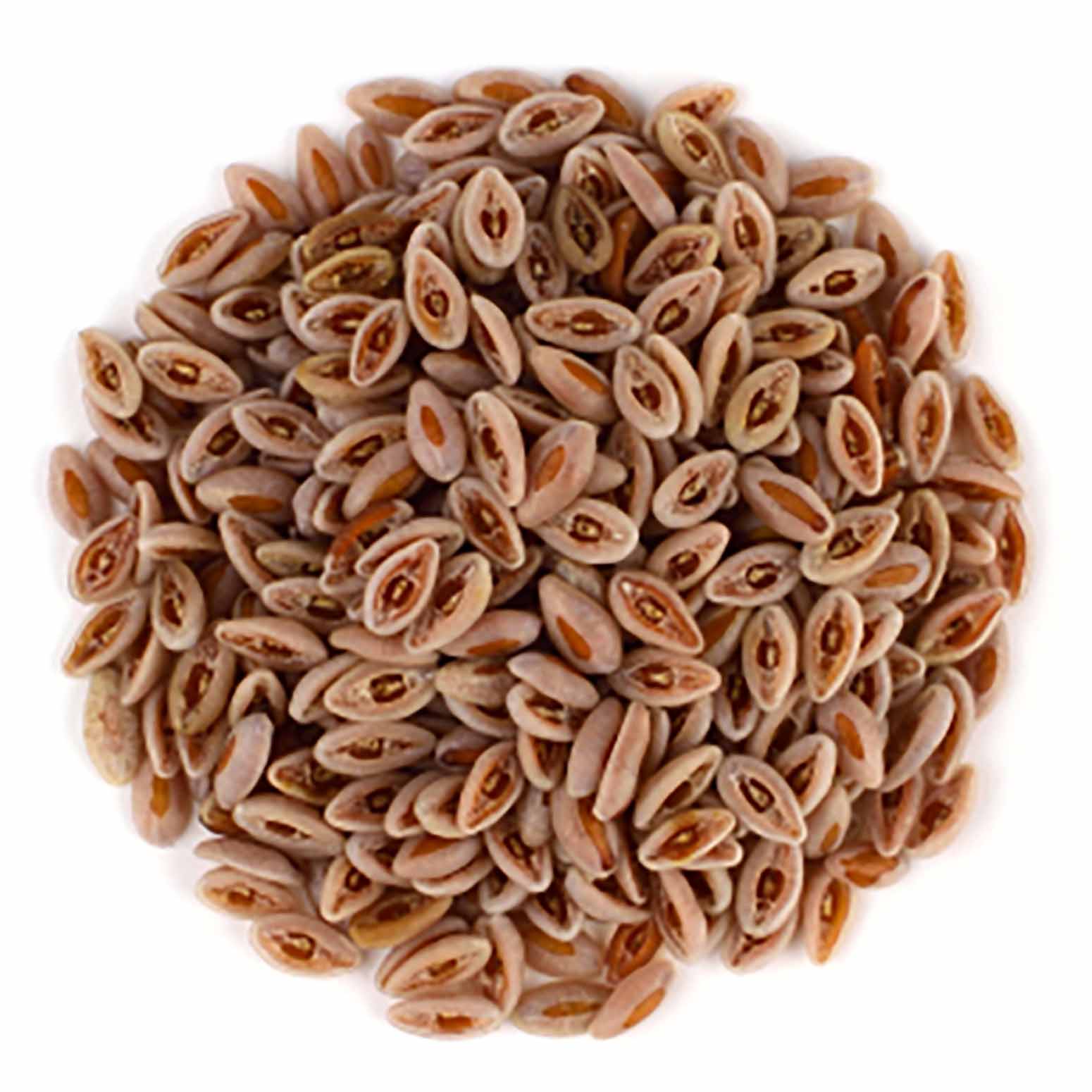 Buy Saleh El-Attar Sons Katona Seed Online | Carrefour Egypt