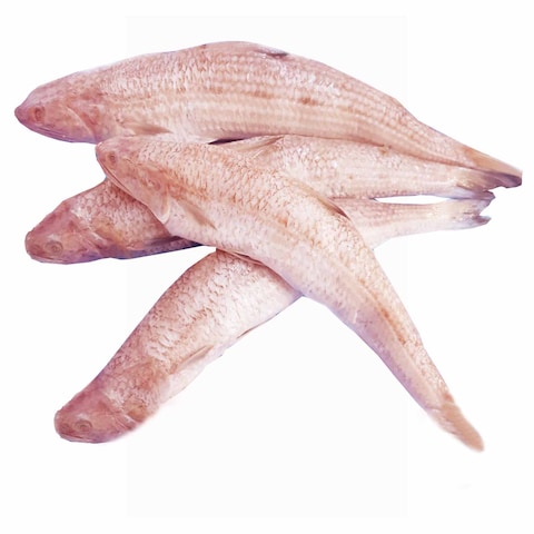 LADY FISH KASSOUR KUWAIT KG price in Kuwait | Carrefour Kuwait ...