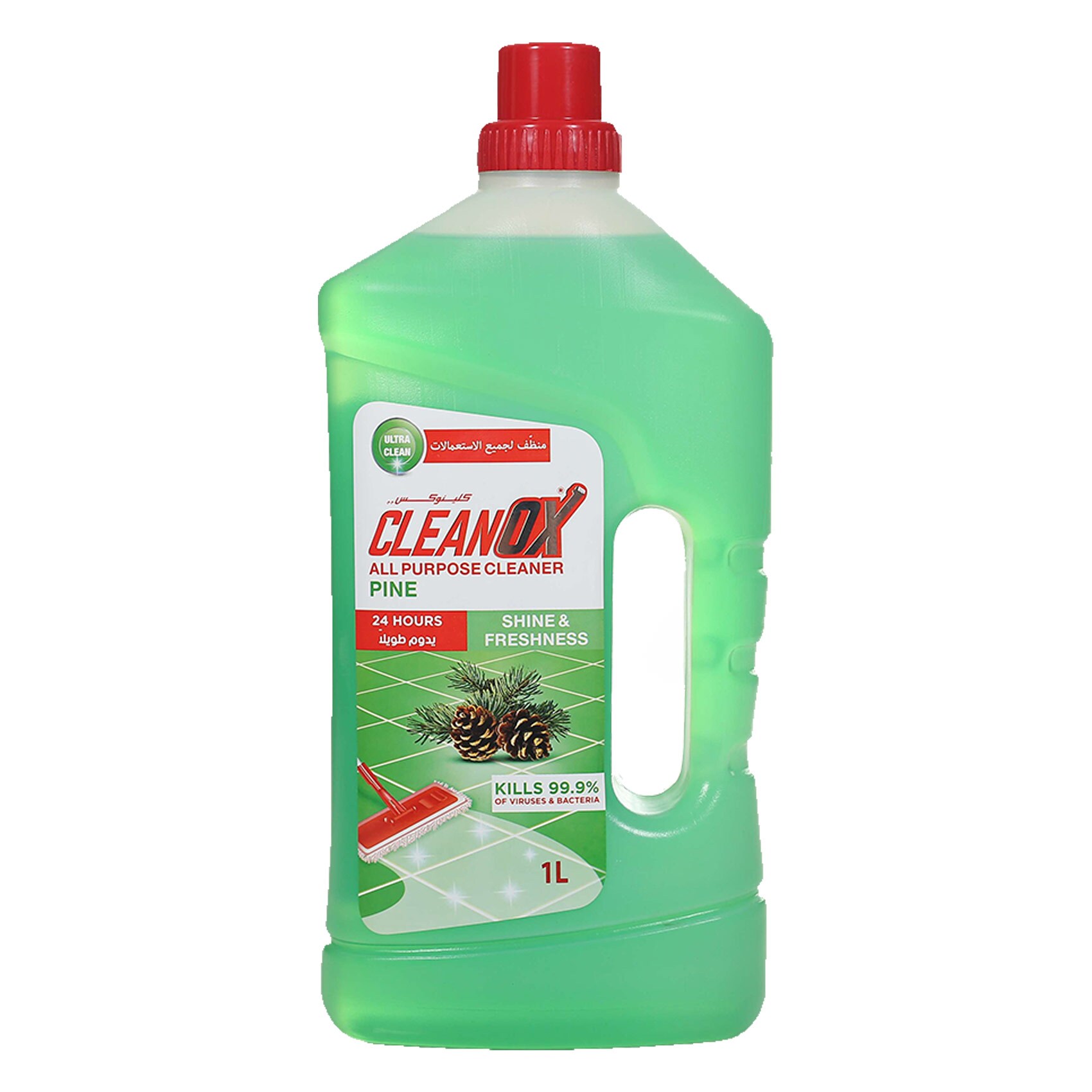 Buy Cleanox Multi Purpose Pine 1L Online | Carrefour Lebanon