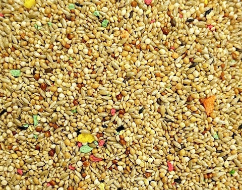 تسوق "Egardenkart Premium Finch Bird Food - Nourishing Blend for ...