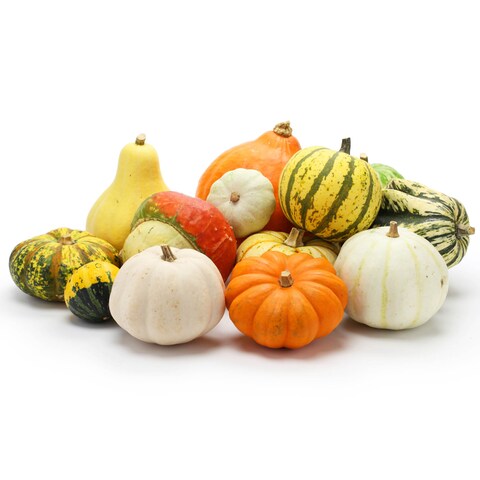 Assorted Pumpkin Decorations price in UAE | Carrefour UAE | supermarket ...