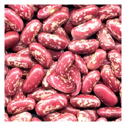 Buy Yash Beans Roscoco Beans - Weighed In Store Online | Carrefour Kenya