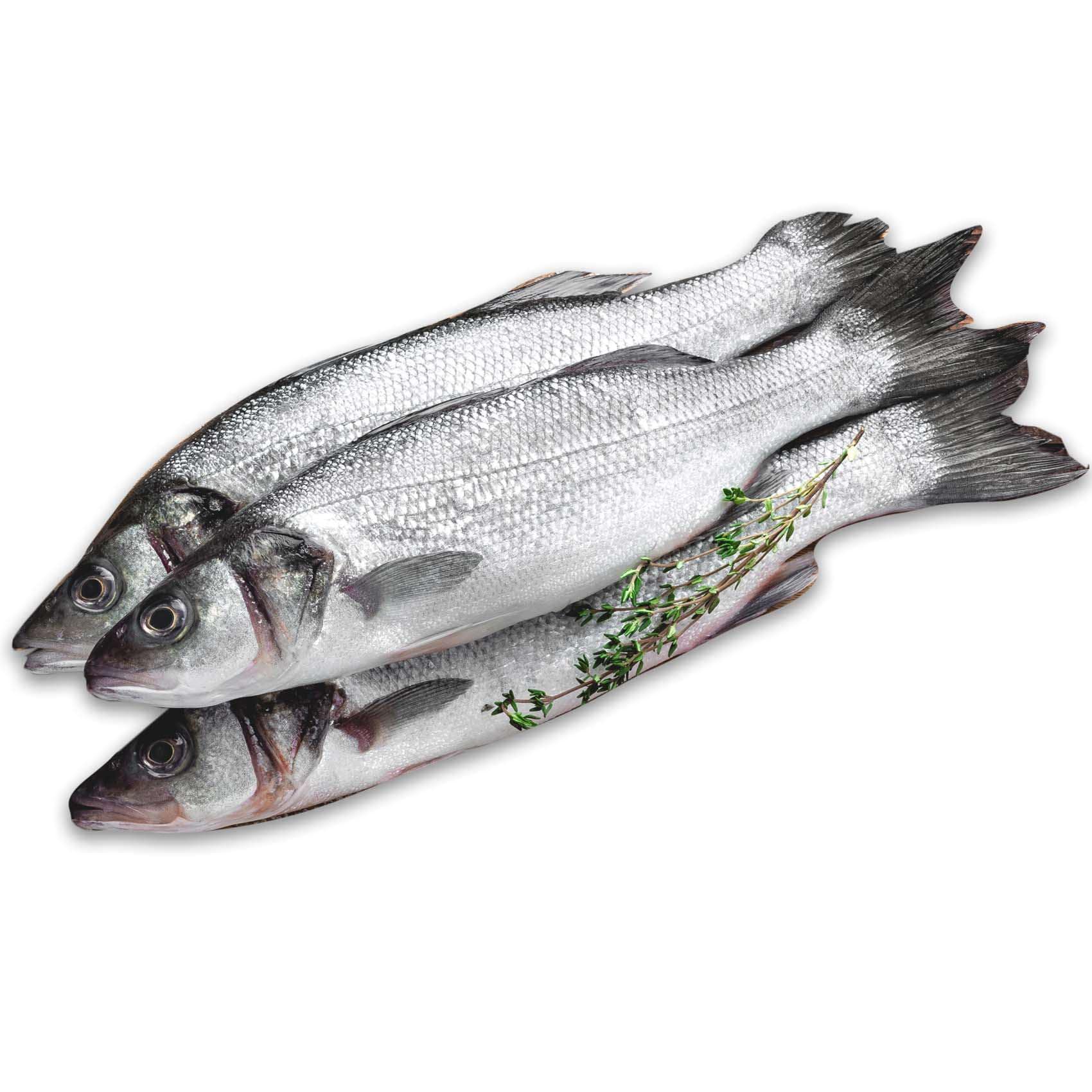 Buy Fresh Sea Bass Online | Carrefour UAE