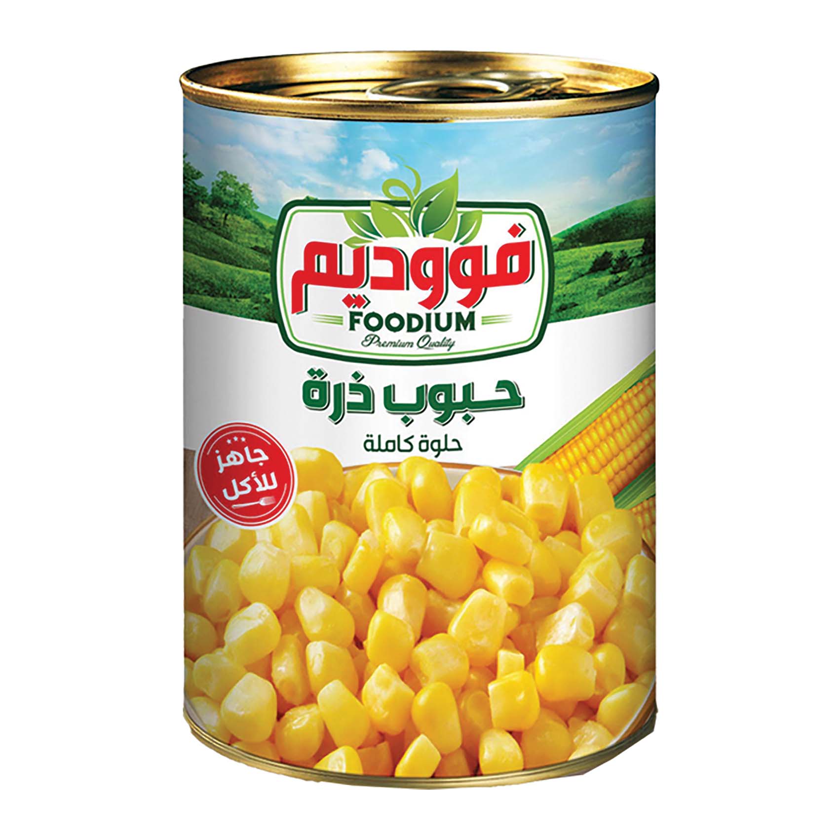 Buy Foodium Whole Kernel Sweet Corn - 400 gram Online | Carrefour Egypt