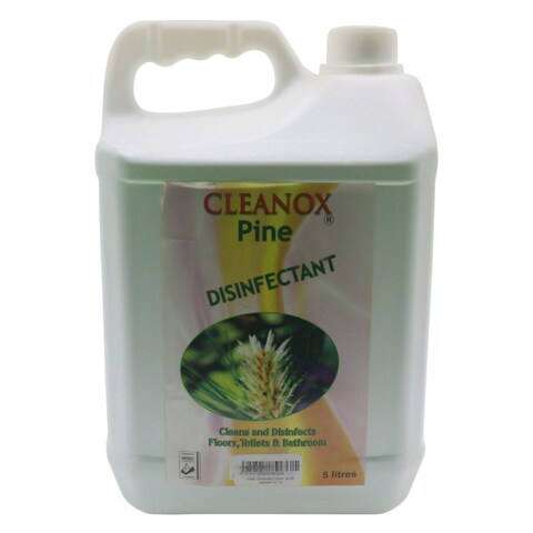 Buy Cleanox Disinfectant Pine Toilet And Floor Cleaner 5L Online ...