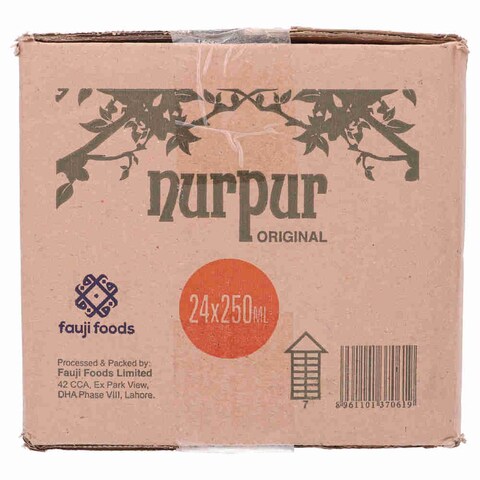 Buy Nurpur Original Full Cream Milk 250 ml (Pack of 24) Online ...