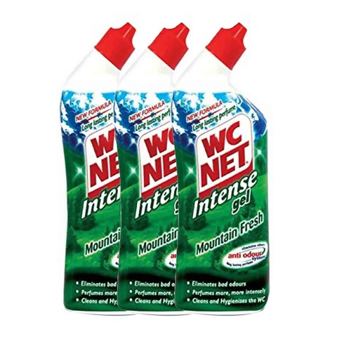Bolton WC Net Intense Mountain Fresh Toilet Cleaner 750ml Pack of 3 price in UAE | Carrefour UAE ...