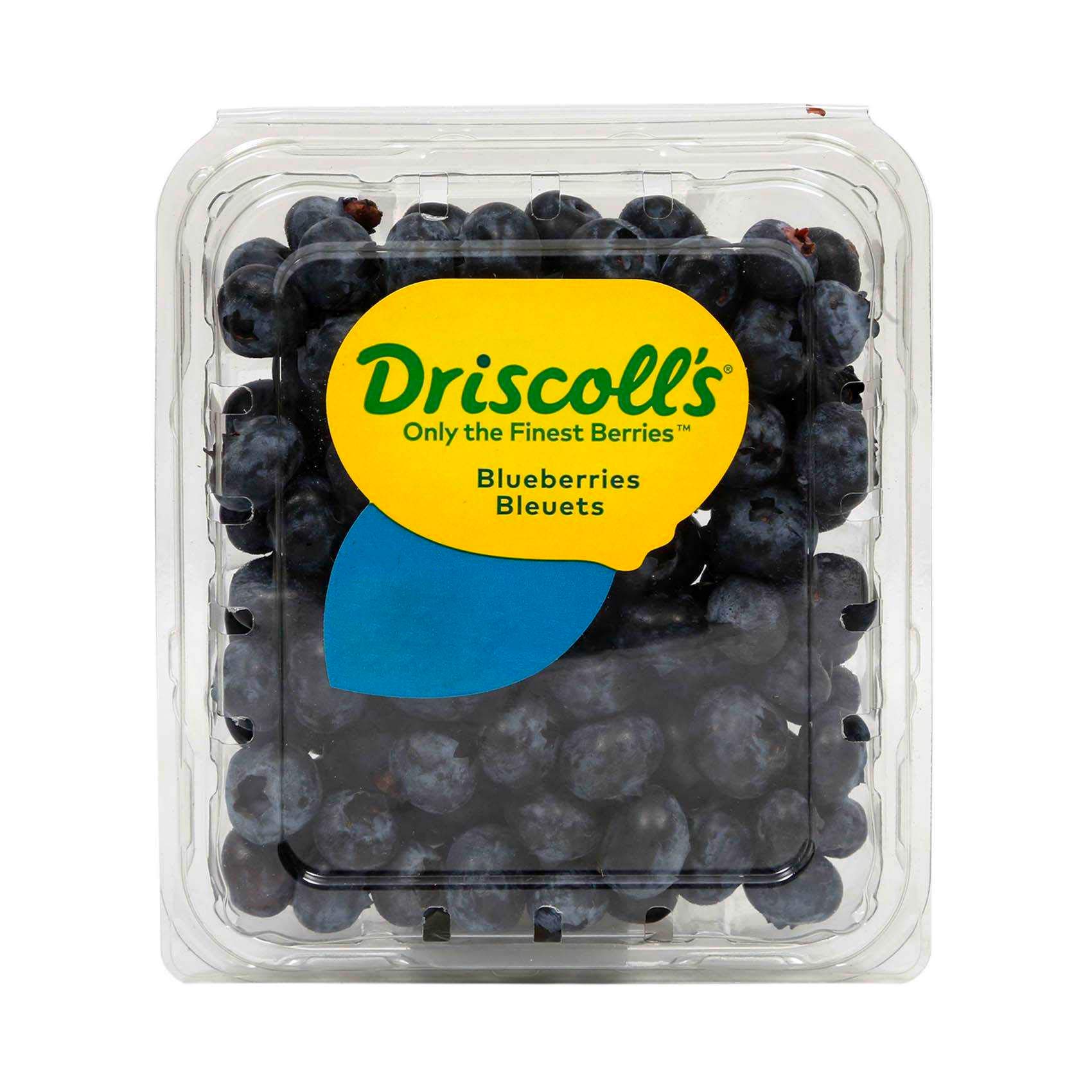 Buy Blueberry Punnet 125g Online | Carrefour KSA