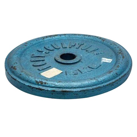 Buy BODY SCULPTURE PLATE 6KG BW-6-B Online | Carrefour Kenya