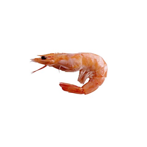 Buy Bosphorus Emirates Shrimp - 10-20 Online | Carrefour Egypt