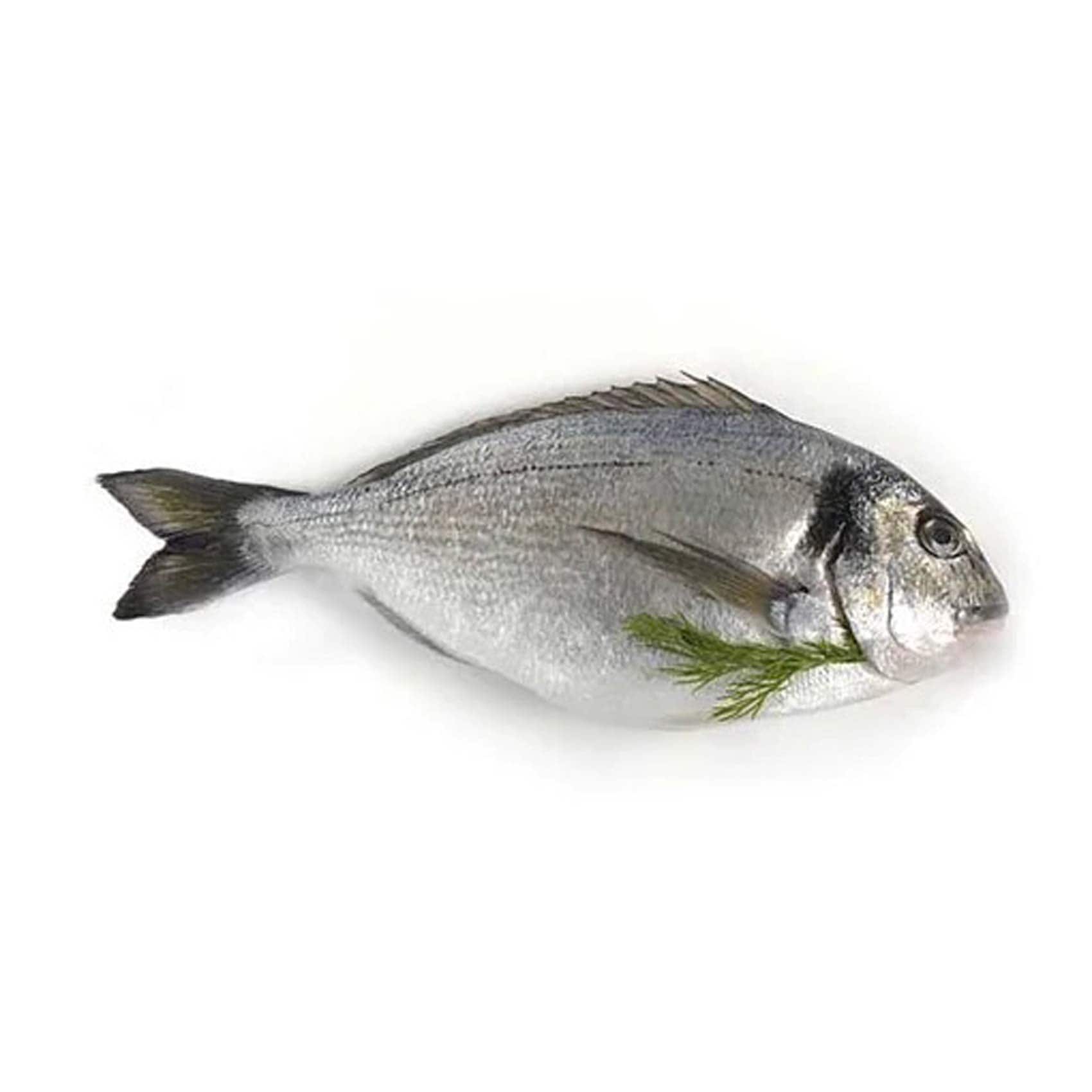 Buy Sea Bream Fish - Small - 4 Pieces/kg Online | Carrefour Egypt