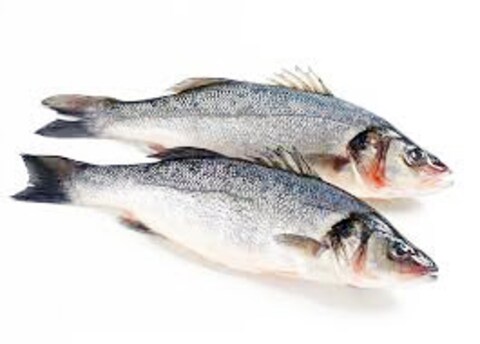 SEA BASS PER KG price in Kuwait | Carrefour Kuwait | supermarket kanbkam