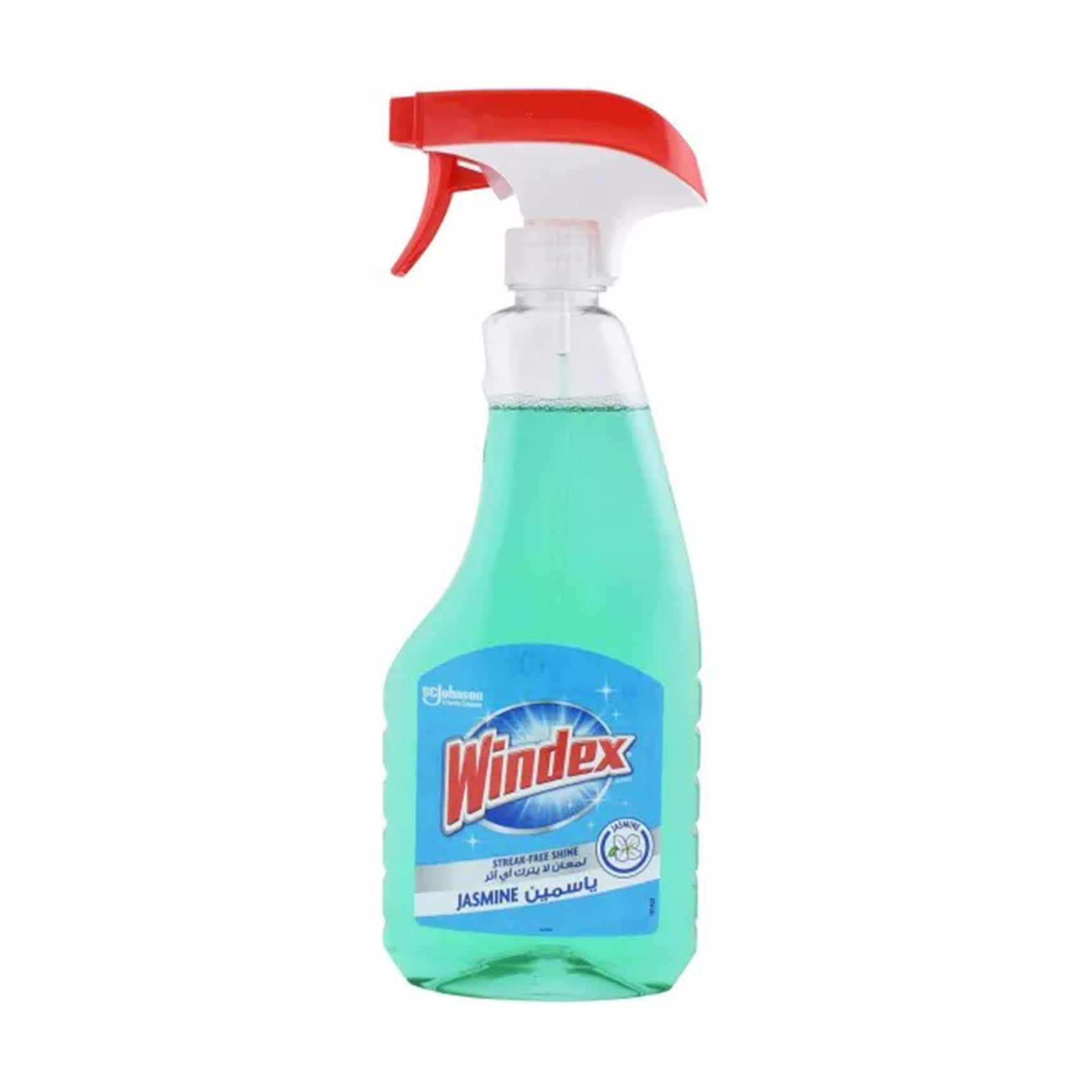 Windex Logo 2014