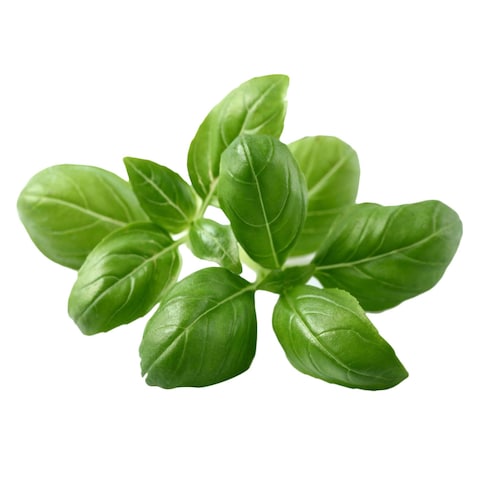Buy Basil Pack 50G Online | Carrefour Kenya