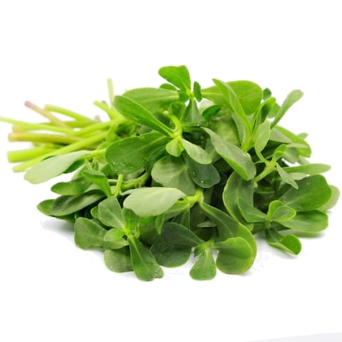 Fresh Barbeer (Pargo) price in UAE | Carrefour UAE | supermarket kanbkam
