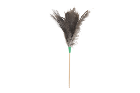 SPARKLE FEATHER DUSTER GREEN price in Kuwait | Carrefour Kuwait ...
