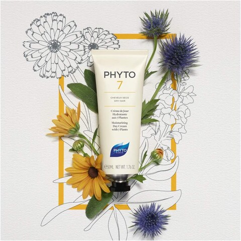 Buy Phyto 7 Hydrating Day Cream 50 ml Online Carrefour UAE