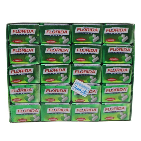 Buy Florida Spearmint 5 Dragees Chewing Gum 40 Counts Online ...