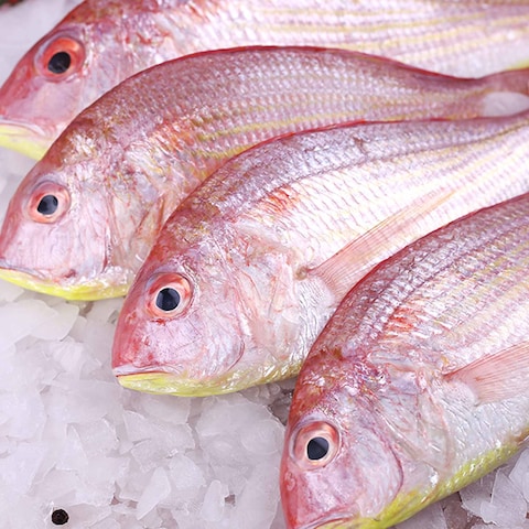 Sultan Ibrahim Fish Local price in Saudi Arabia | Carrefour Saudi ...