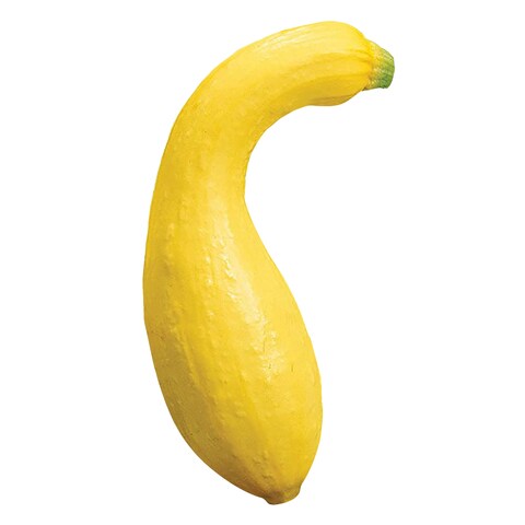 Buy Fresh Curved Squash 400g Online | Carrefour Lebanon