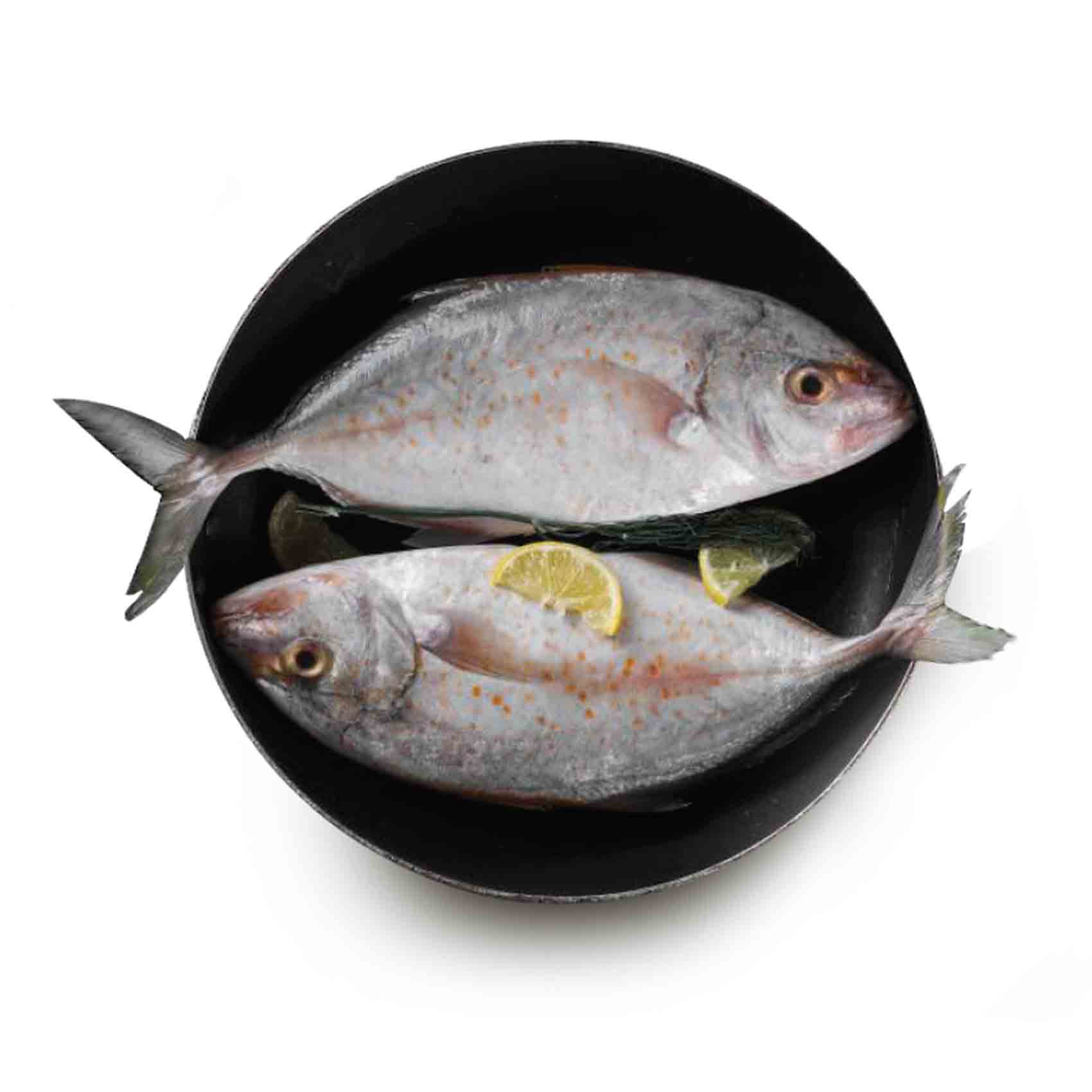 Buy Biad Fish Online | Carrefour KSA