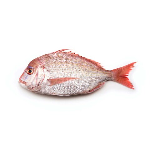 Buy Defrosted Morgan Fish Online | Carrefour Egypt