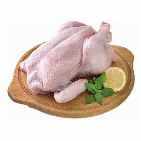 Buy Sandy Whole Chicken - 900-950gm Online | Carrefour Egypt