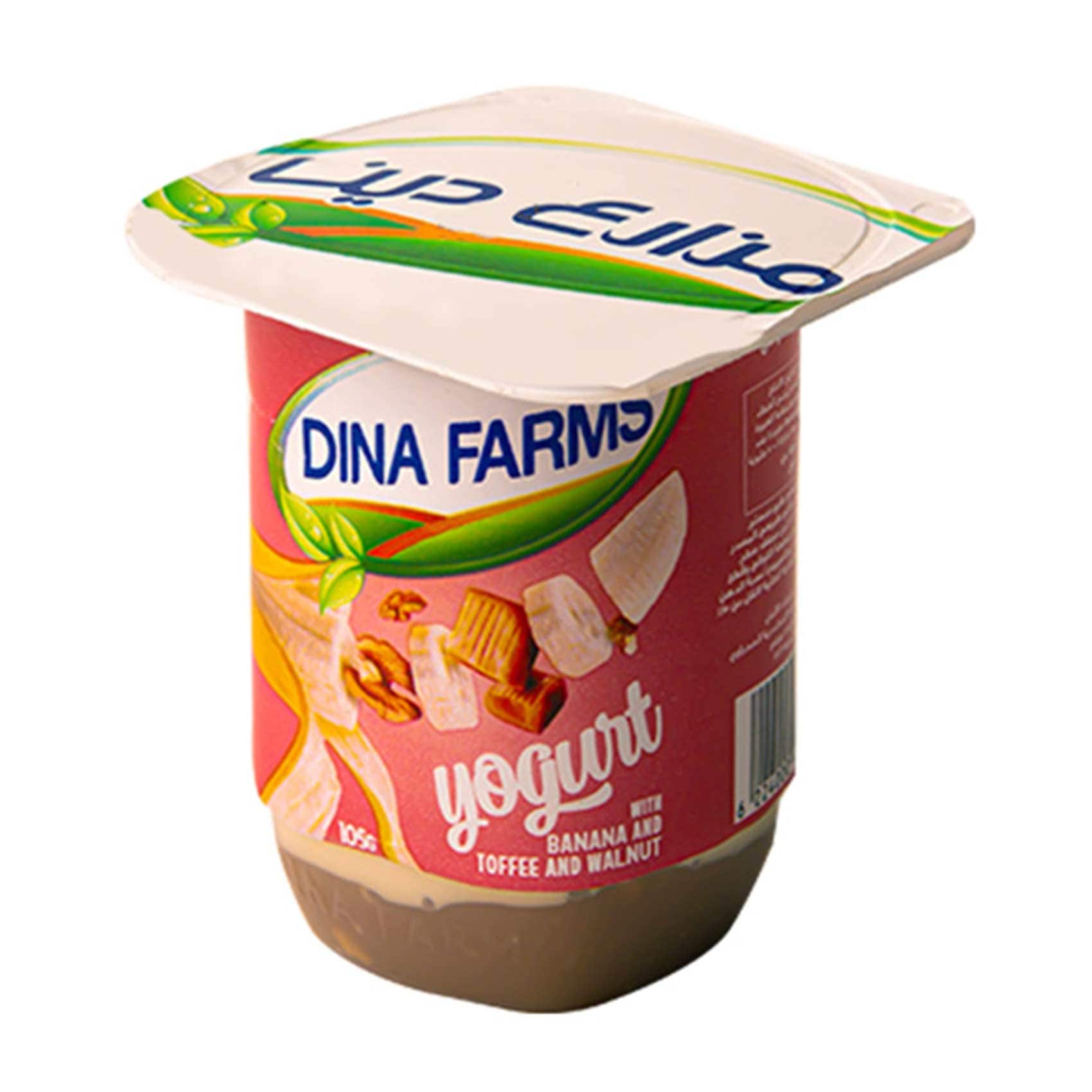 Buy Dina Farms Yogurt with Banana & Toffee & Walnut - 110 gram Online ...